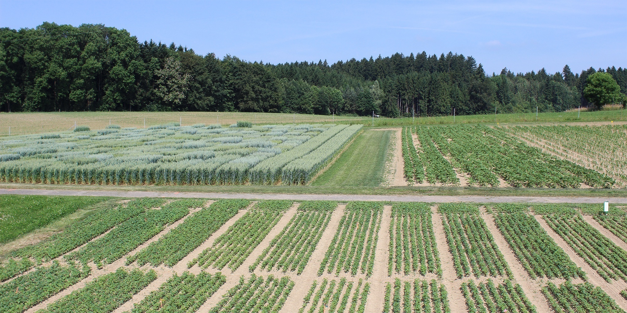 Sélection végétale suisse – analyse spatiale, temporelle et thématique ...