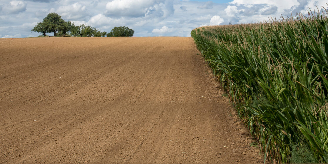 Maize Cultivation: Maps of Accumulated Temperatures Support the Choice ...