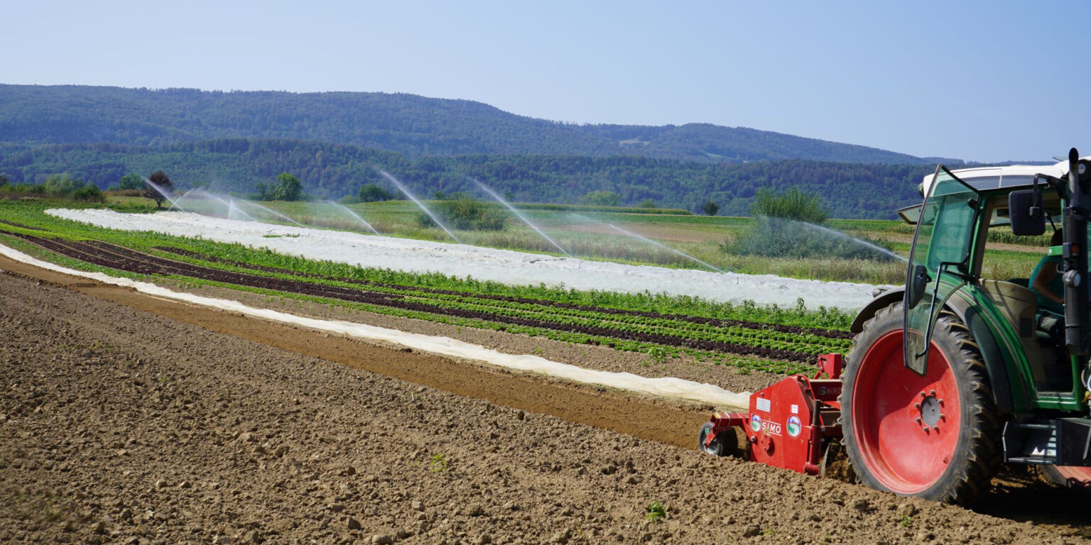 What impact has environmental pesticide contamination on the organic ...