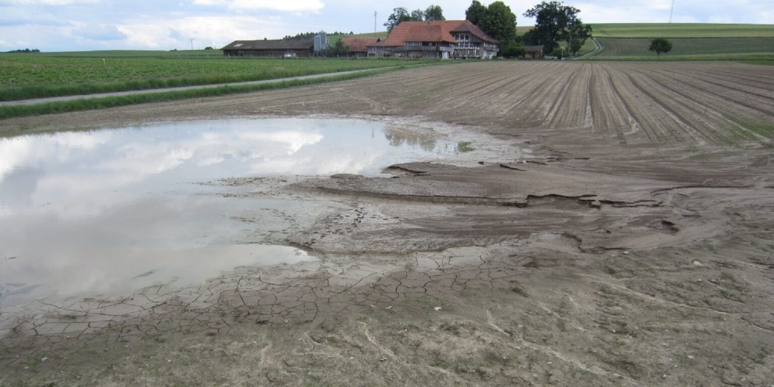 How Do Different Arable Crops Affect Erosion Risk? - Agrarforschung Schweiz