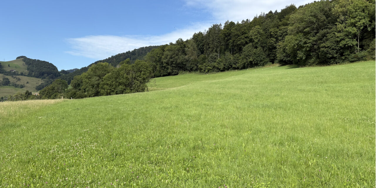 Sorting the meadow: Genetic methods to separate species and cultivars ...